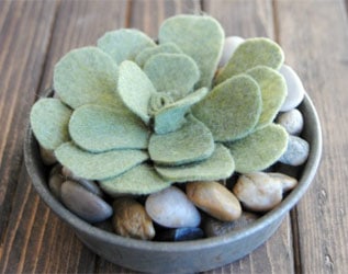 MAKE FELT SUCCULENTS