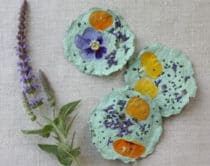 SUMMER FRUIT PAPER FANS WITH FREE PRINTABLE