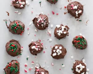 8 FUN HOLIDAY STICK CRAFTS