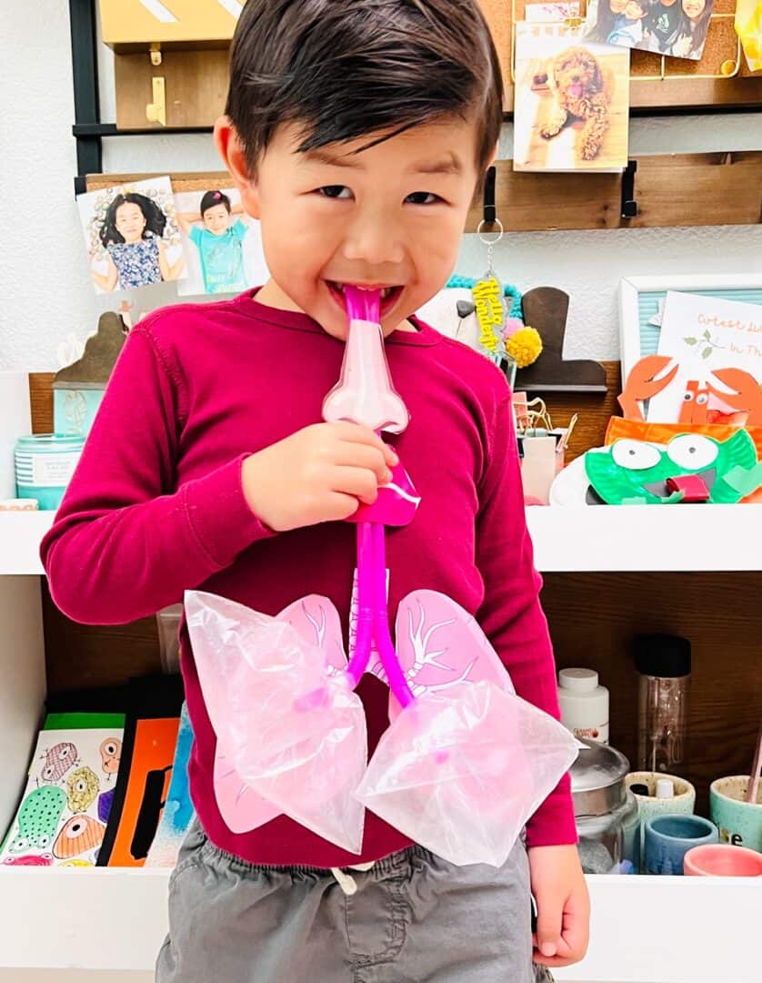 How To Make a Lung Model With Kids - Printable Template