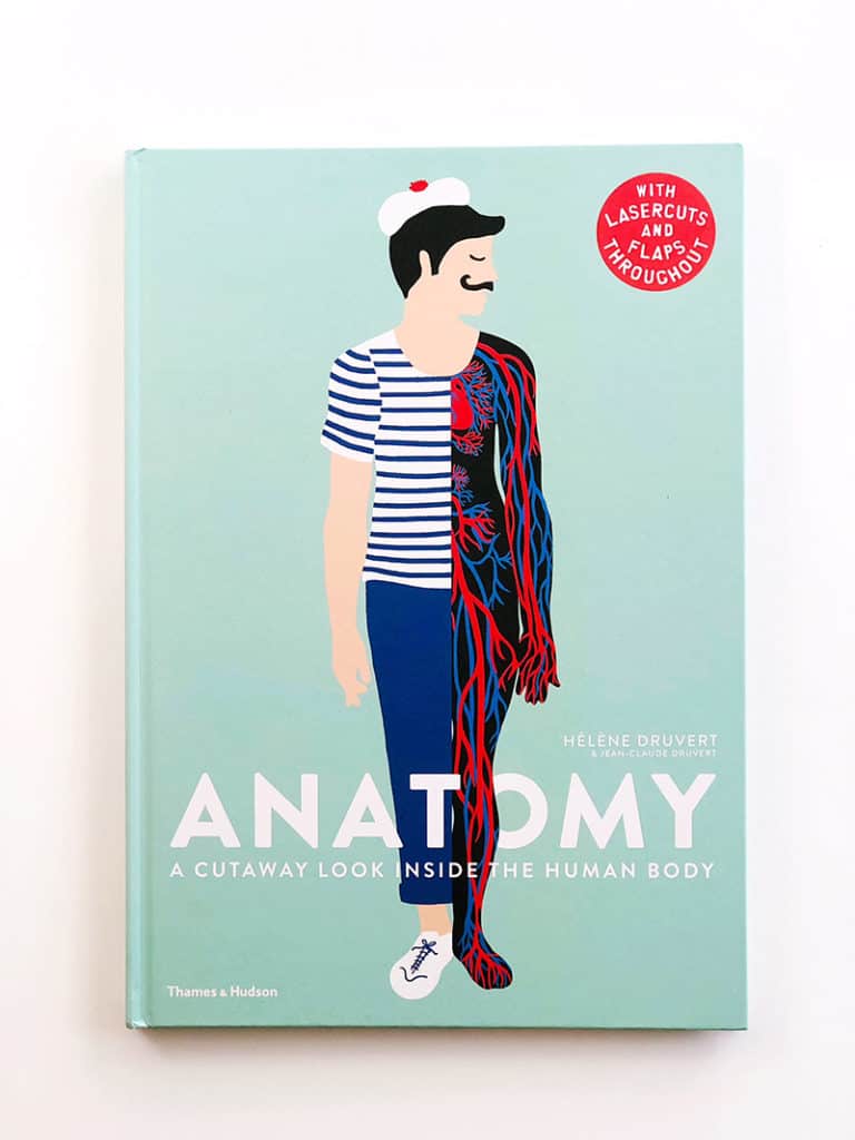 ANATOMY BOOK WITH BEAUTIFUL PAPER CUT OUTS - hello, Wonderful
