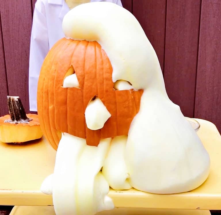 PUMPKIN ELEPHANT TOOTHPASTE EXPERIMENT - hello, Wonderful