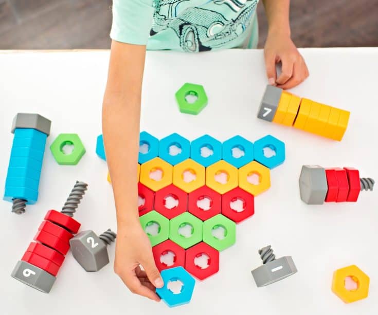 NUTS ABOUT COUNTING AND SORTING LEARNING TOY - hello, Wonderful
