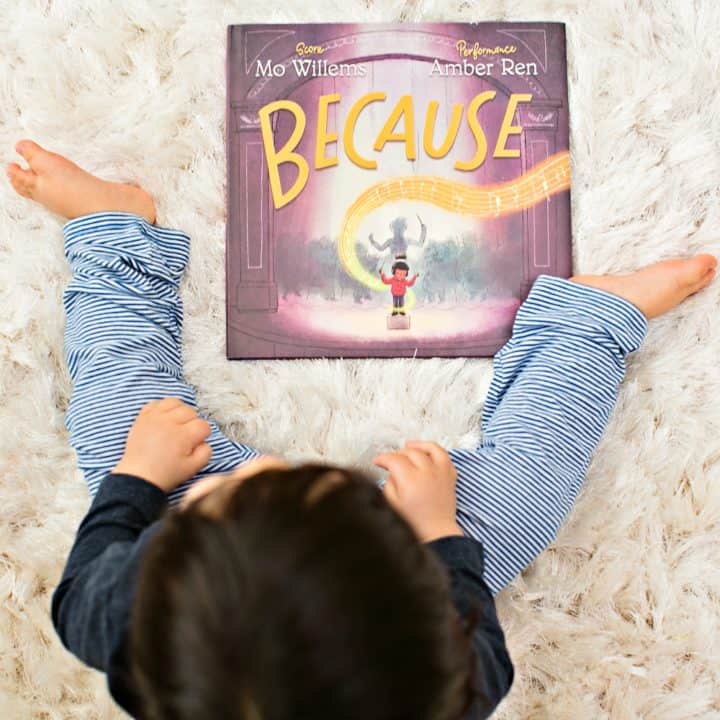 BECAUSE BY MO WILLEMS HAS US PONDERING WHY THINGS HAPPEN FOR A REASON ...