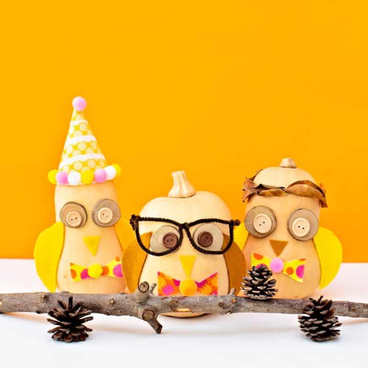 OWL PUMPKIN CRAFT - hello, Wonderful