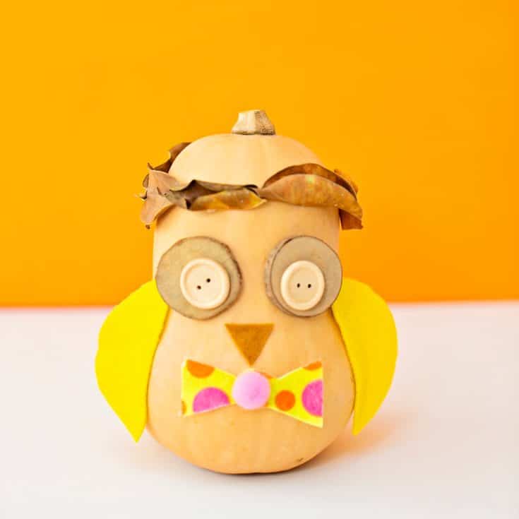 OWL PUMPKIN CRAFT - hello, Wonderful