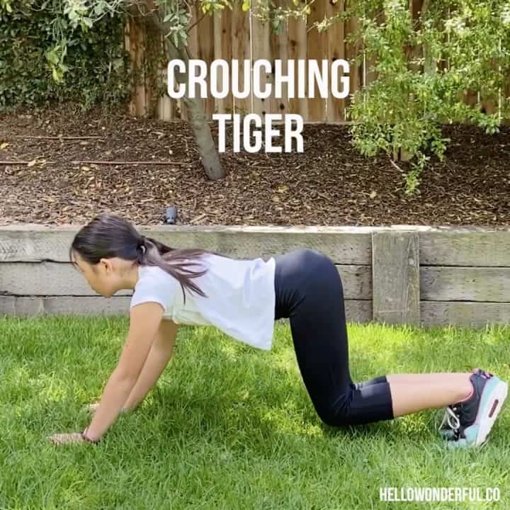 ANIMAL EXERCISES FOR KIDS - hello, Wonderful