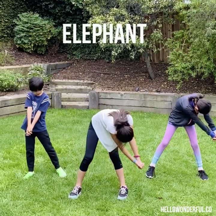 ANIMAL EXERCISES FOR KIDS - hello, Wonderful