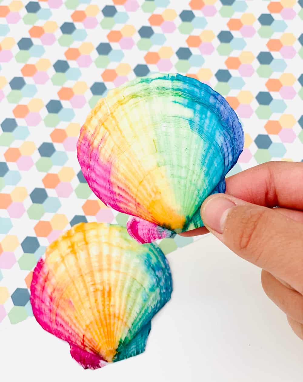 RAINBOW WATERCOLOR PAINTED SEASHELLS - hello, Wonderful