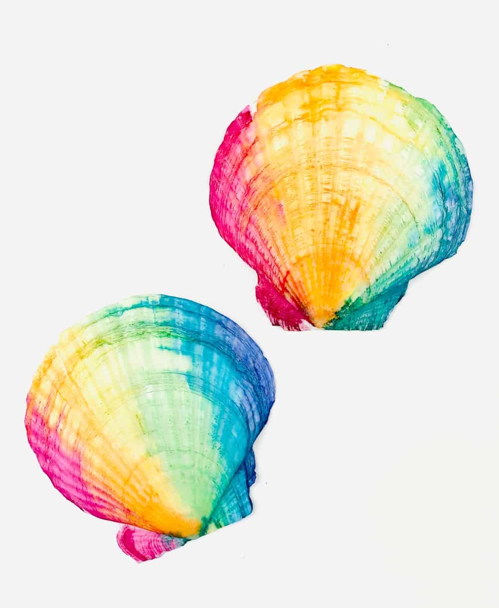 RAINBOW WATERCOLOR PAINTED SEASHELLS - hello, Wonderful