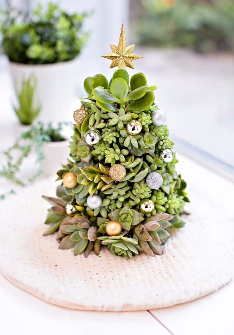 DIY Succulent Christmas Tree - Easy succlent tree you can make!