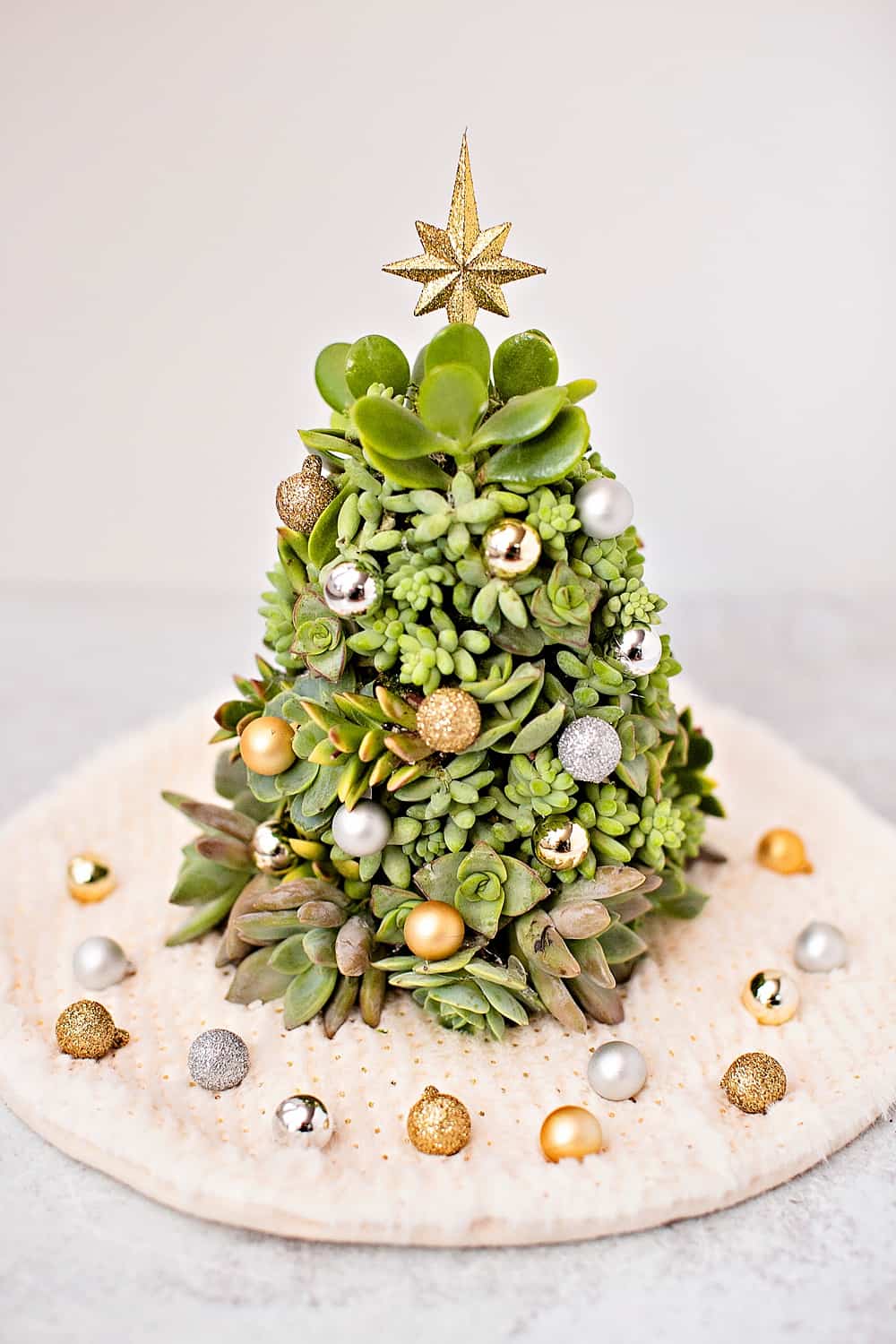 DIY Succulent Christmas Tree - Easy succlent tree you can make!