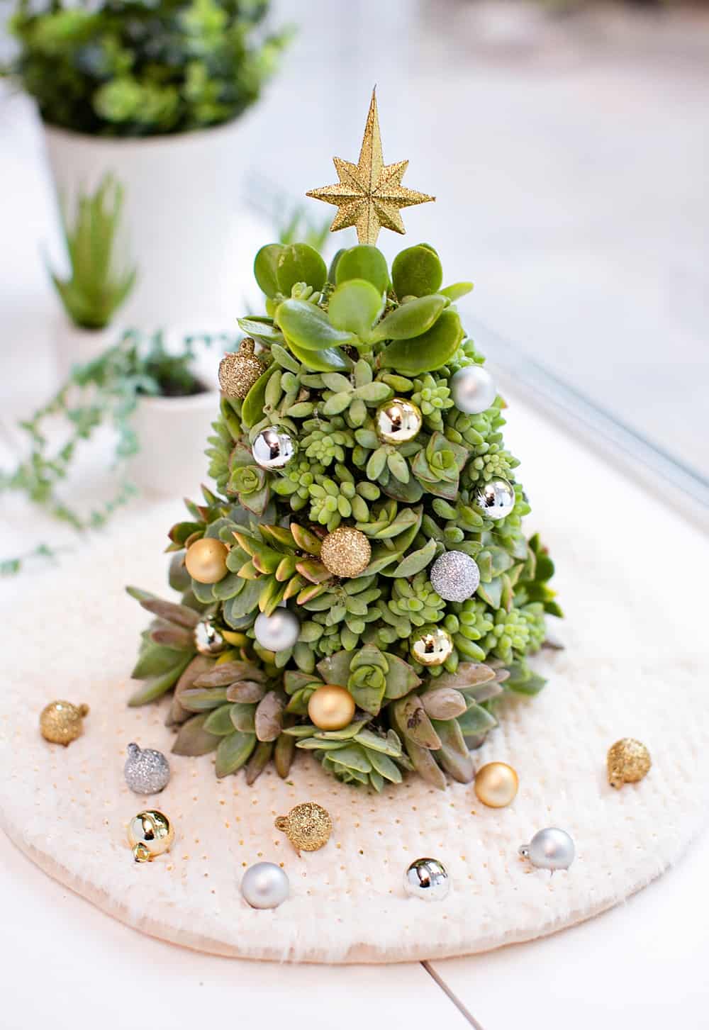 DIY Succulent Christmas Tree - Easy succlent tree you can make!
