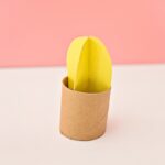 Paper Tube Cactus Craft - Cute Recycled Craft For Kids