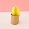 Paper Tube Cactus Craft - Cute Recycled Craft For Kids