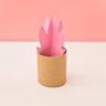 Paper Tube Cactus Craft - Cute Recycled Craft For Kids