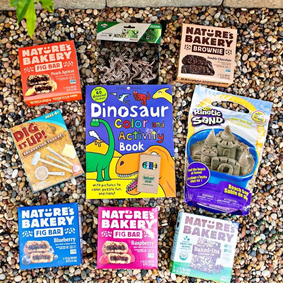 Back to School With Nature’s Bakery Snack Sized Adventures: Field Trip ...
