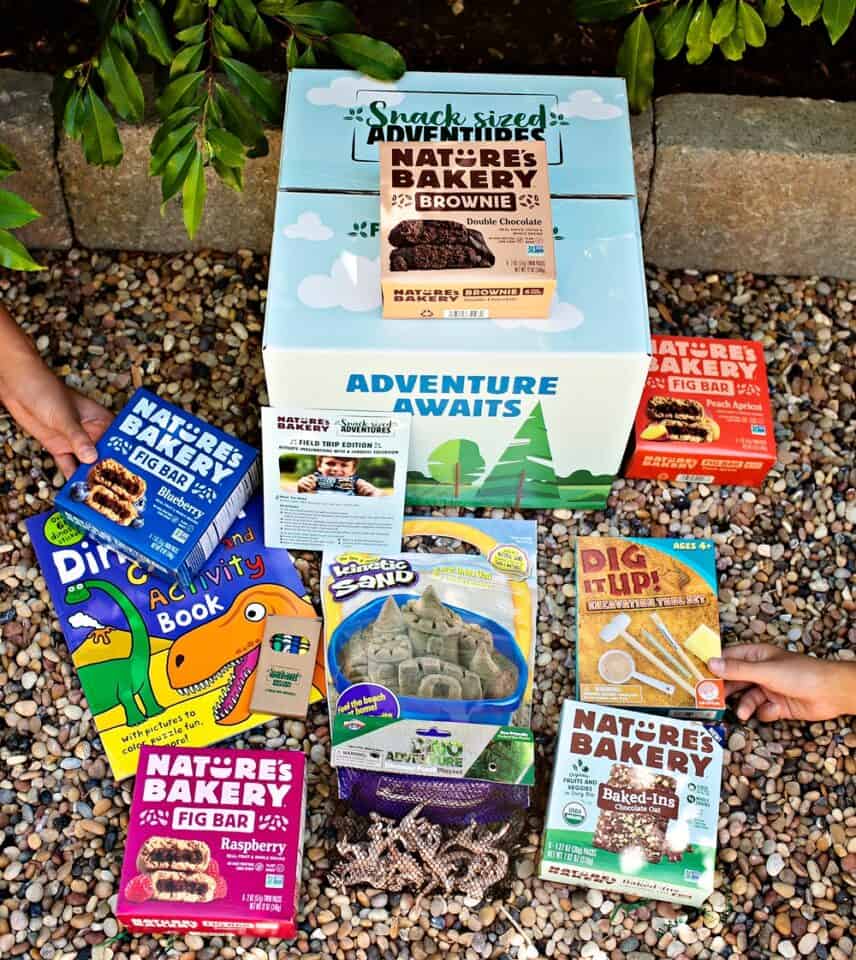 Back to School With Nature’s Bakery Snack Sized Adventures: Field Trip ...
