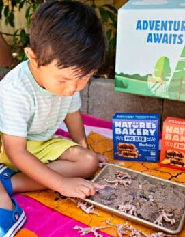 Back to School With Nature’s Bakery Snack Sized Adventures: Field Trip ...