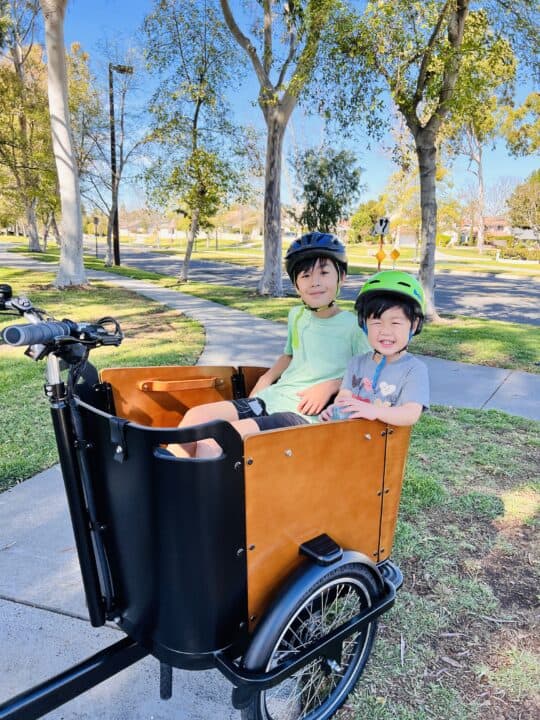 The Ultimate Family Cargo Bike: What To Consider And Which One We Chose