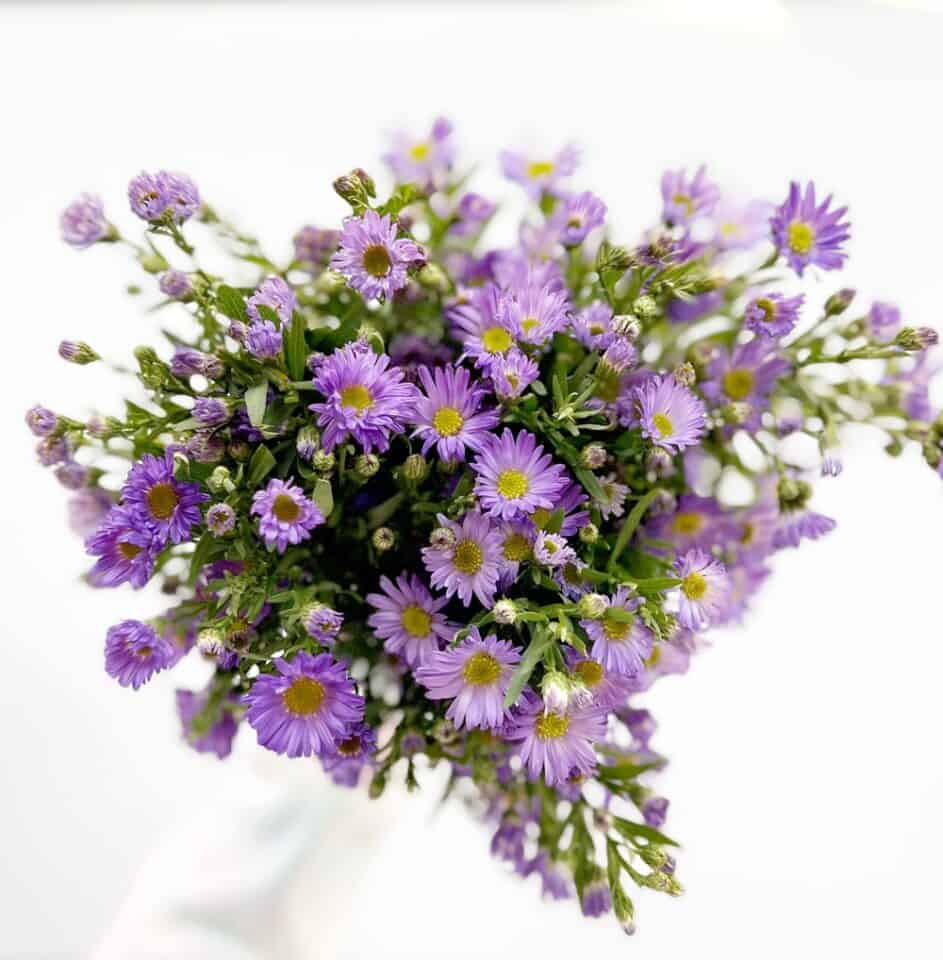 This Cardboard Flower Craft Is A Fun Spring Activity For Kids