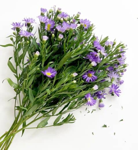 This Cardboard Flower Craft Is A Fun Spring Activity For Kids