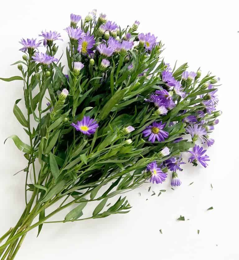 This Cardboard Flower Craft Is A Fun Spring Activity For Kids