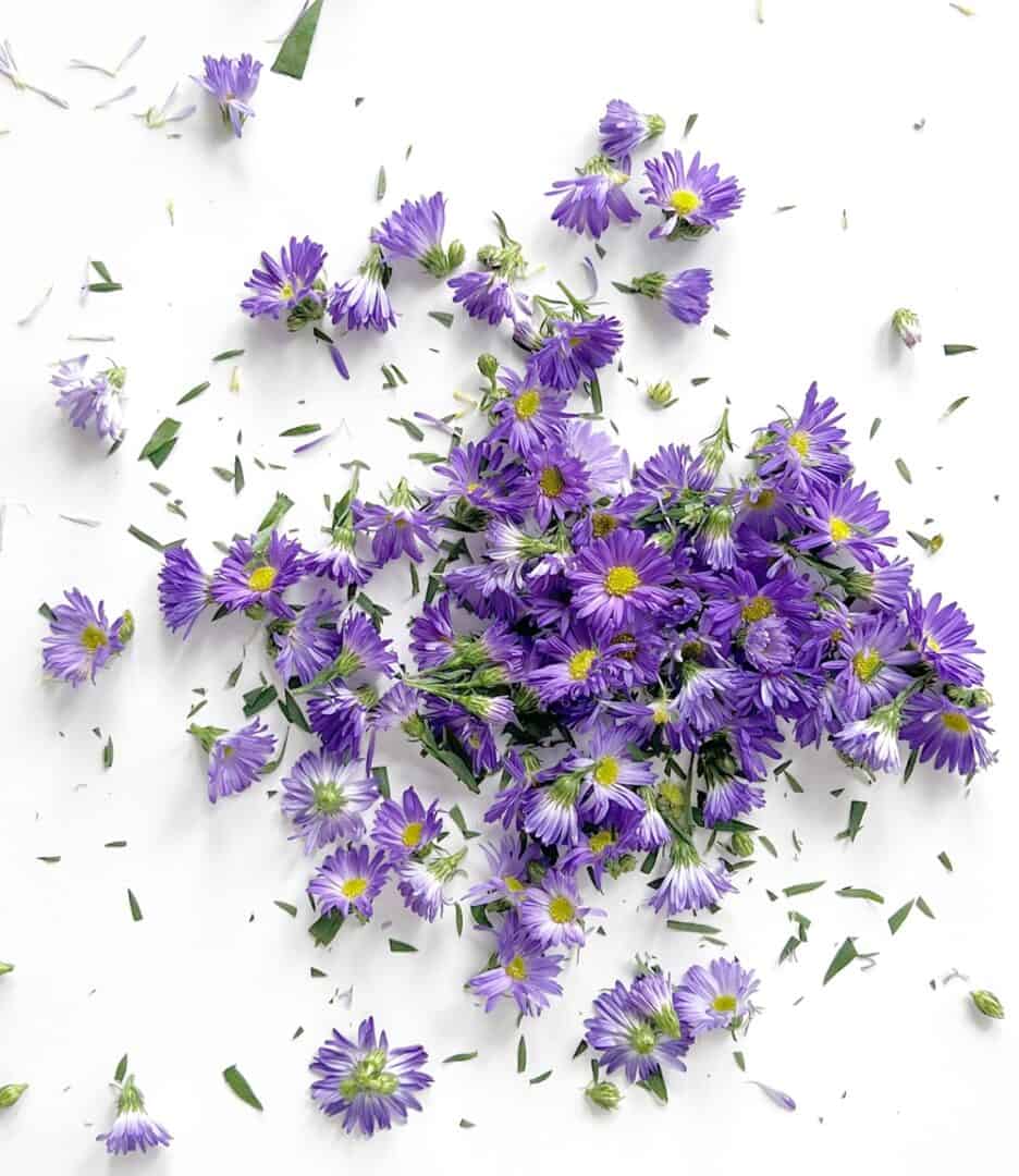 This Cardboard Flower Craft Is A Fun Spring Activity For Kids