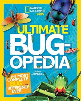 12 Exciting Bug Books For Kids