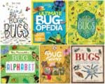 12 Exciting Bug Books For Kids