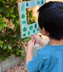 Nature Learning Leaf Hunt Printable