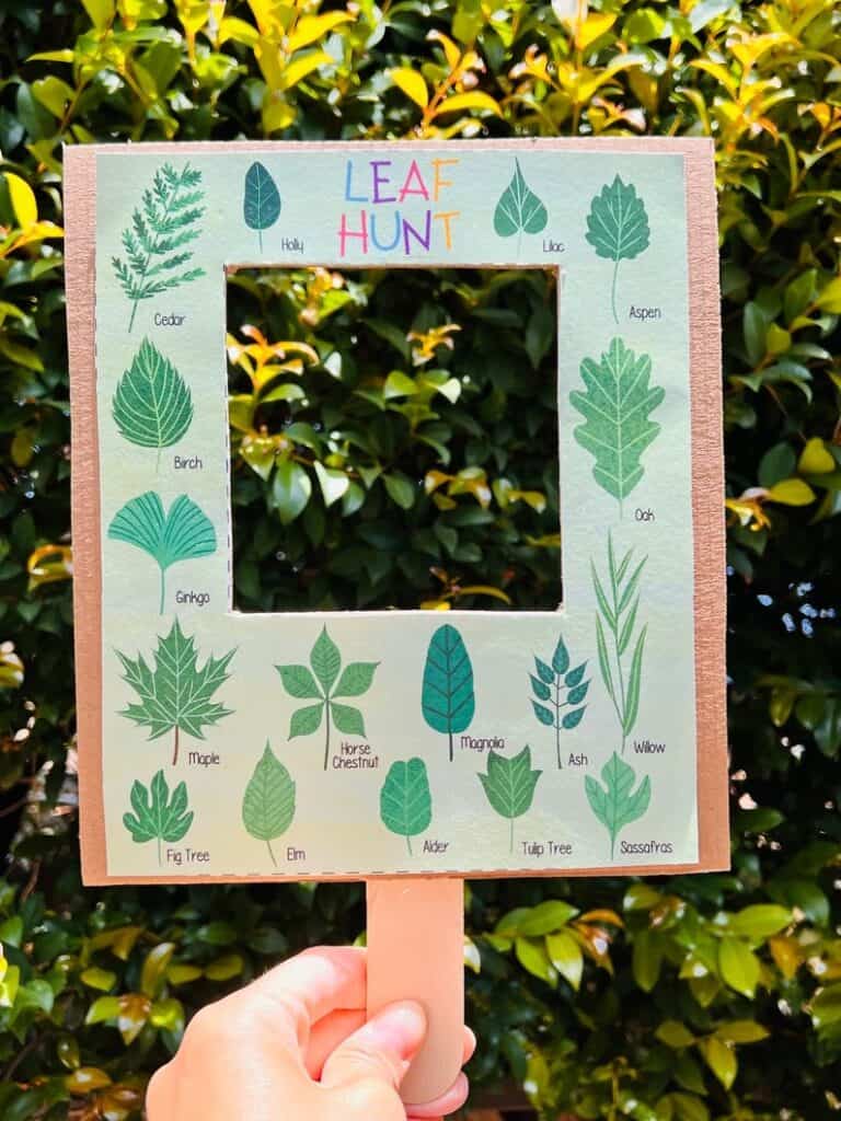 Nature Learning Leaf Hunt Printable