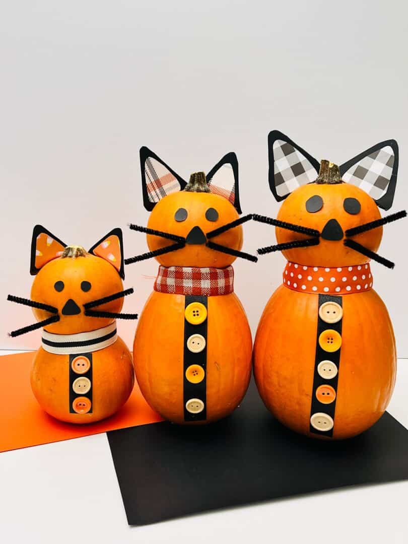 How to Make an Easy No Carve Cat Pumpkin