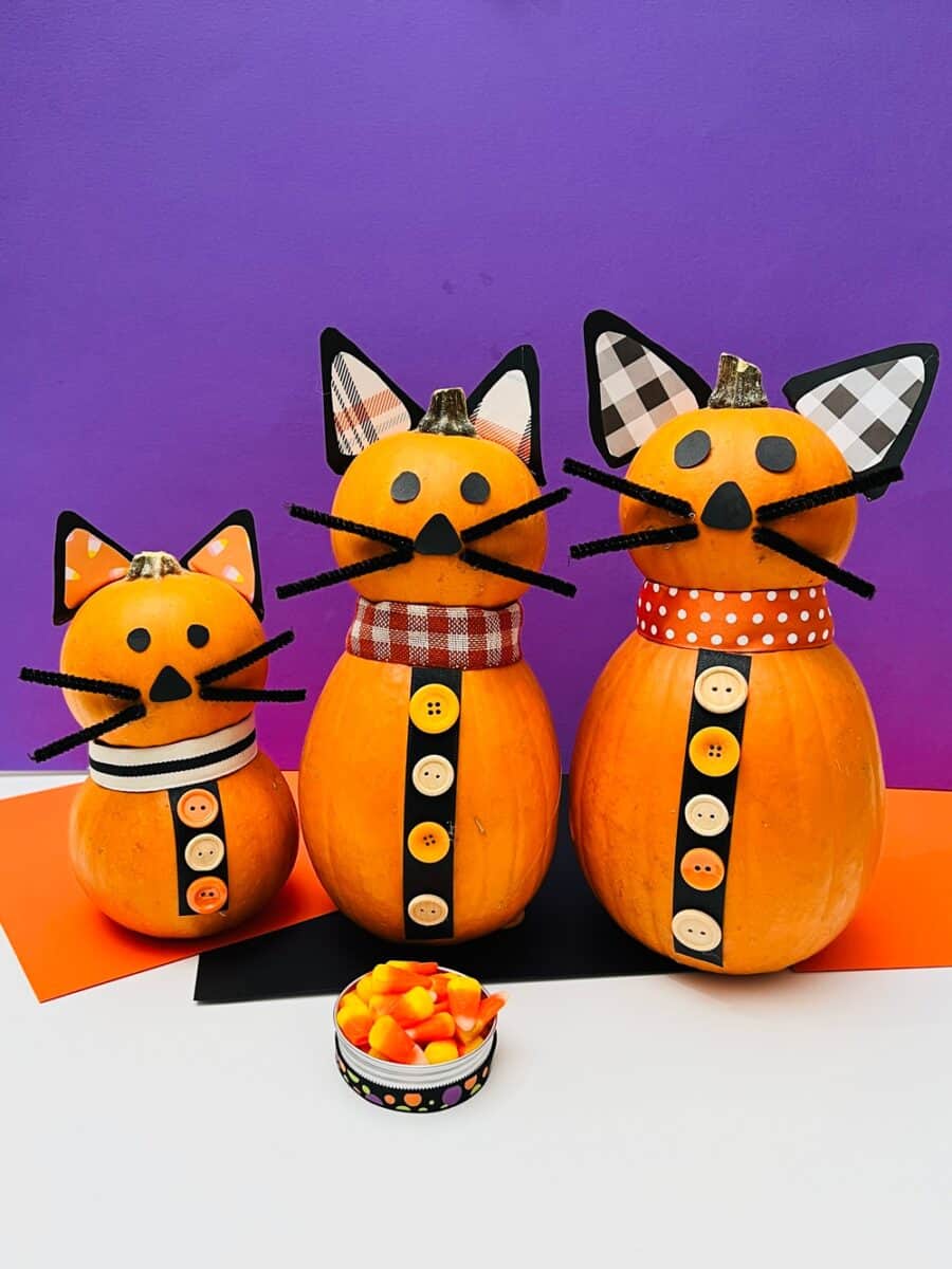 How to Make an Easy No Carve Cat Pumpkin