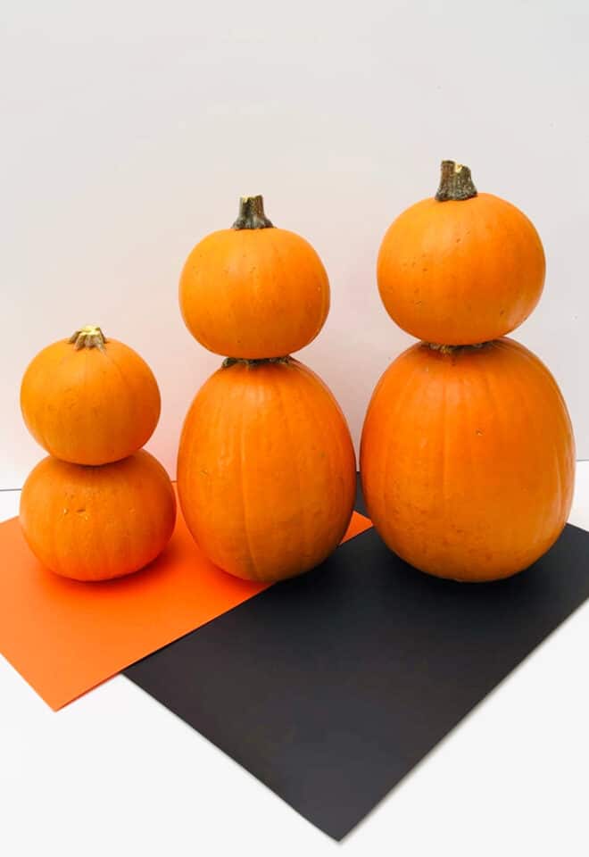 How to Make an Easy No Carve Cat Pumpkin