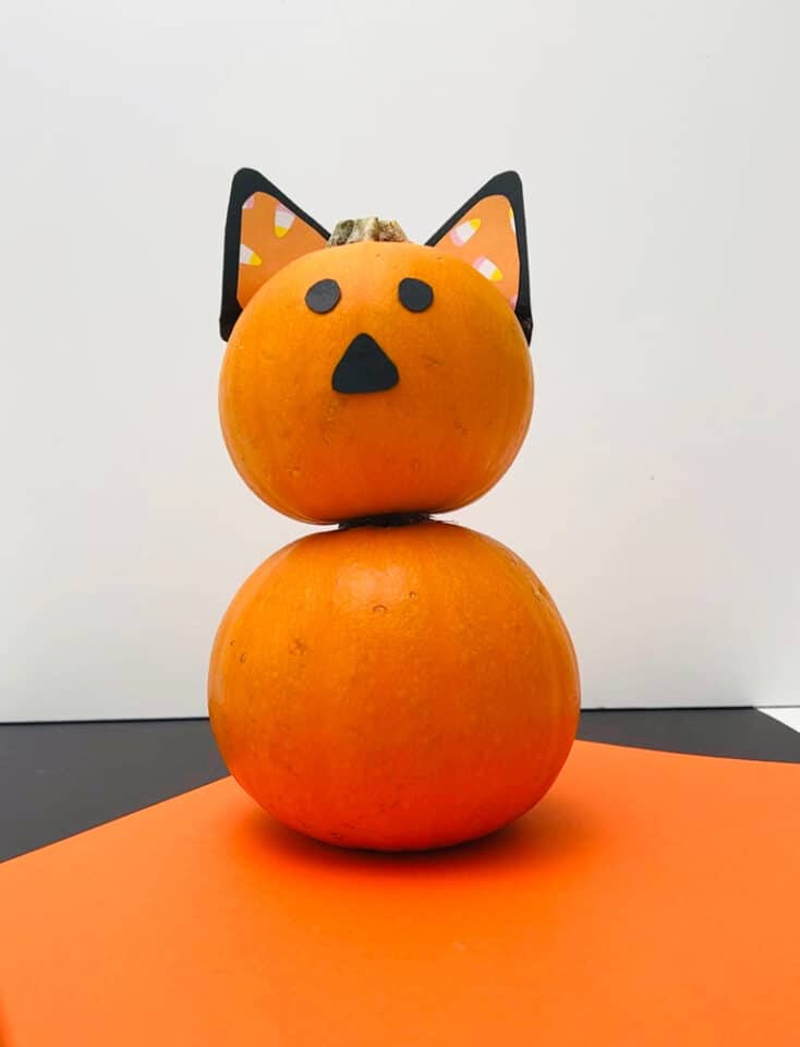 How to Make an Easy No Carve Cat Pumpkin