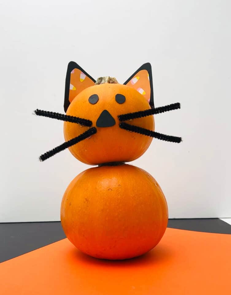 How to Make an Easy No Carve Cat Pumpkin
