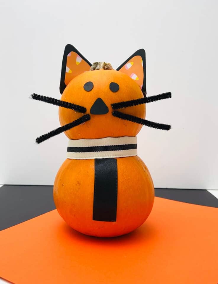 How to Make an Easy No Carve Cat Pumpkin