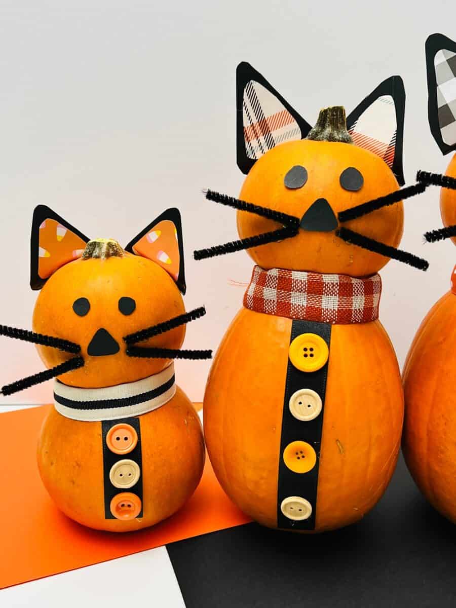 How to Make an Easy No Carve Cat Pumpkin