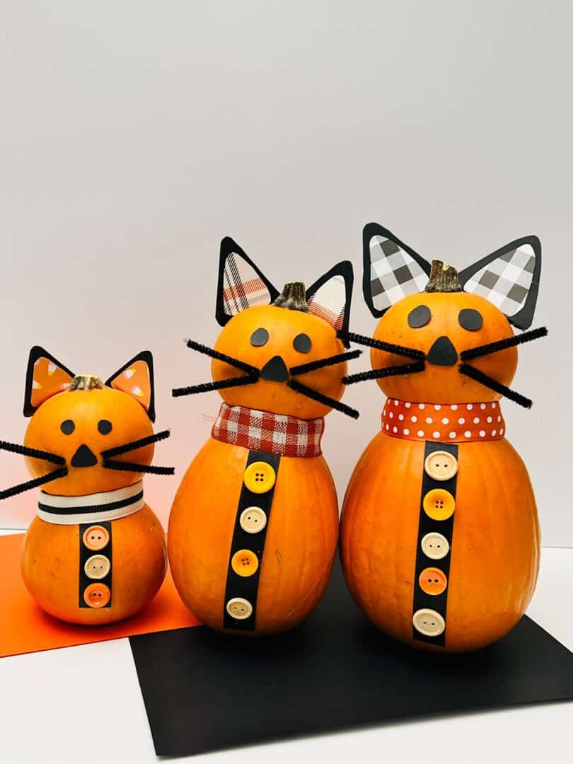 How to Make an Easy No Carve Cat Pumpkin