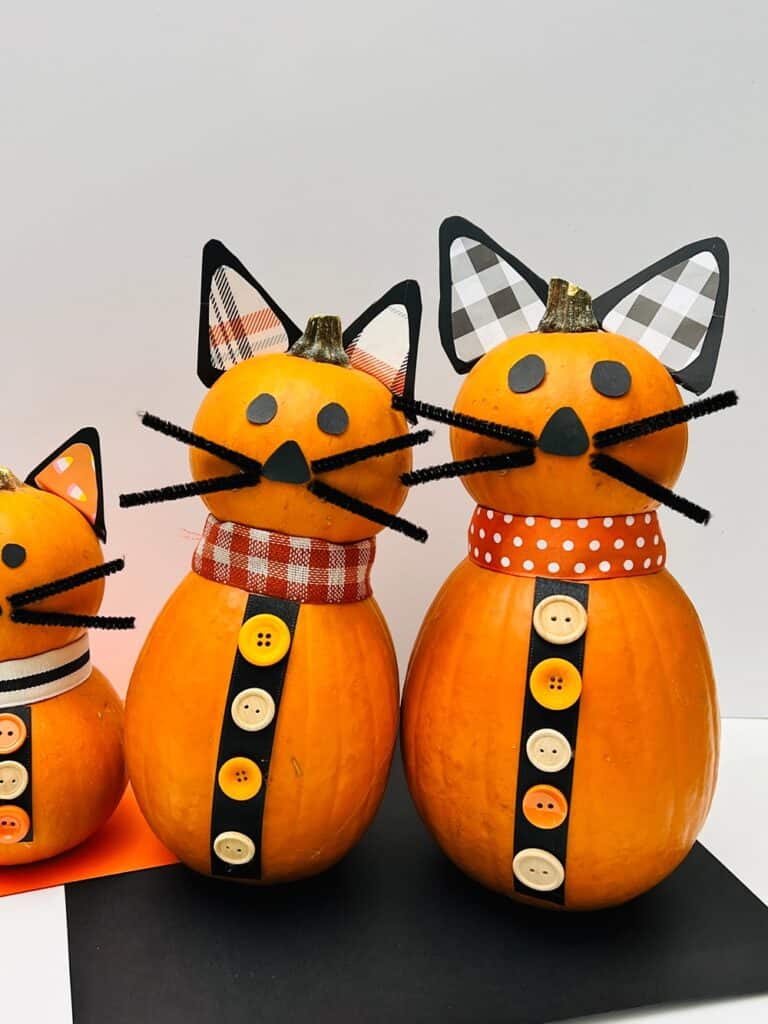 How to Make an Easy No Carve Cat Pumpkin