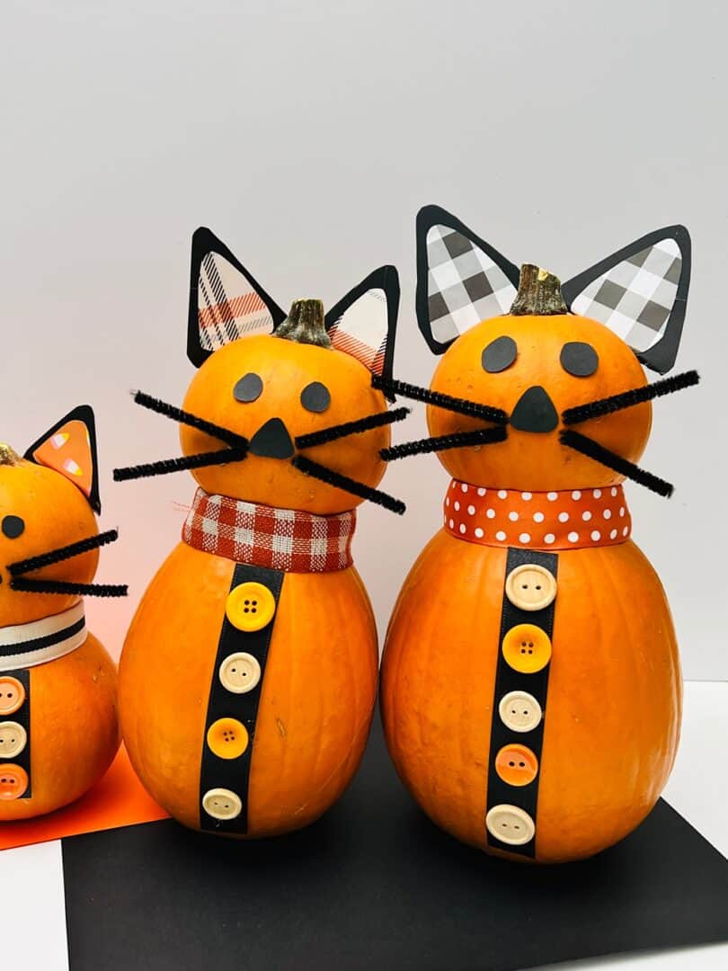 How to Make an Easy No Carve Cat Pumpkin