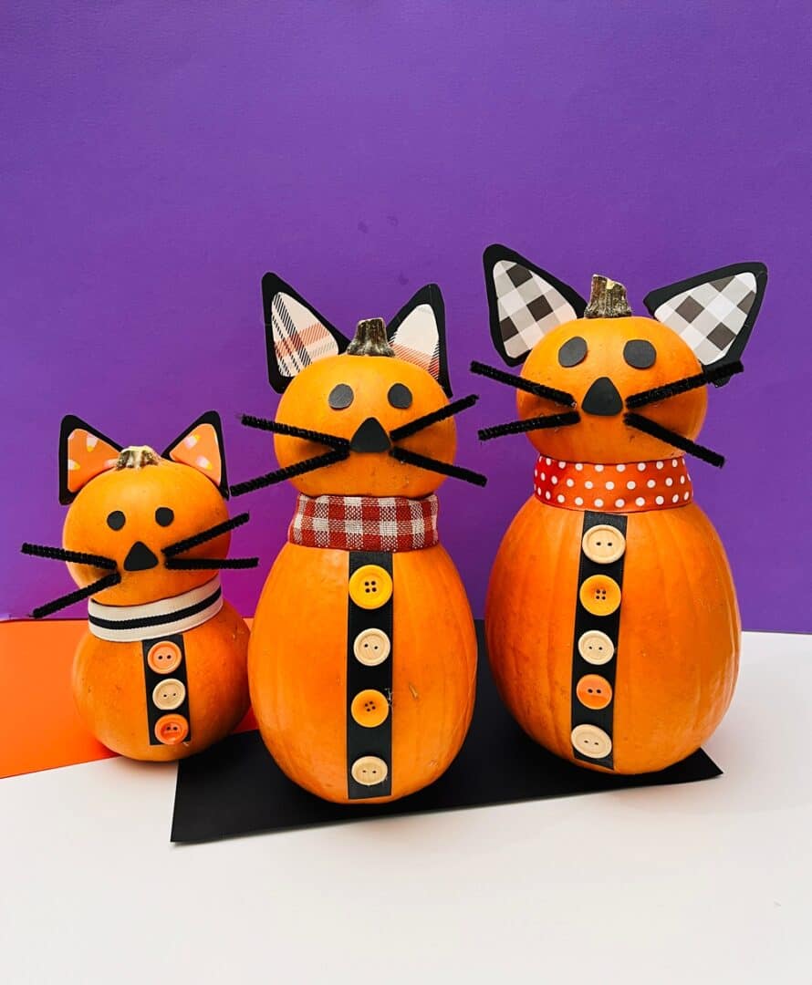 How to Make an Easy No Carve Cat Pumpkin