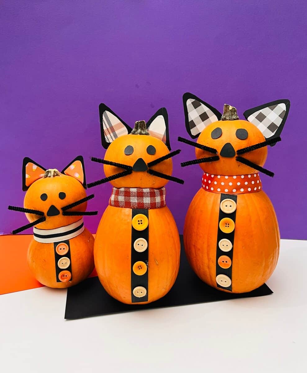 How to Make an Easy No Carve Cat Pumpkin