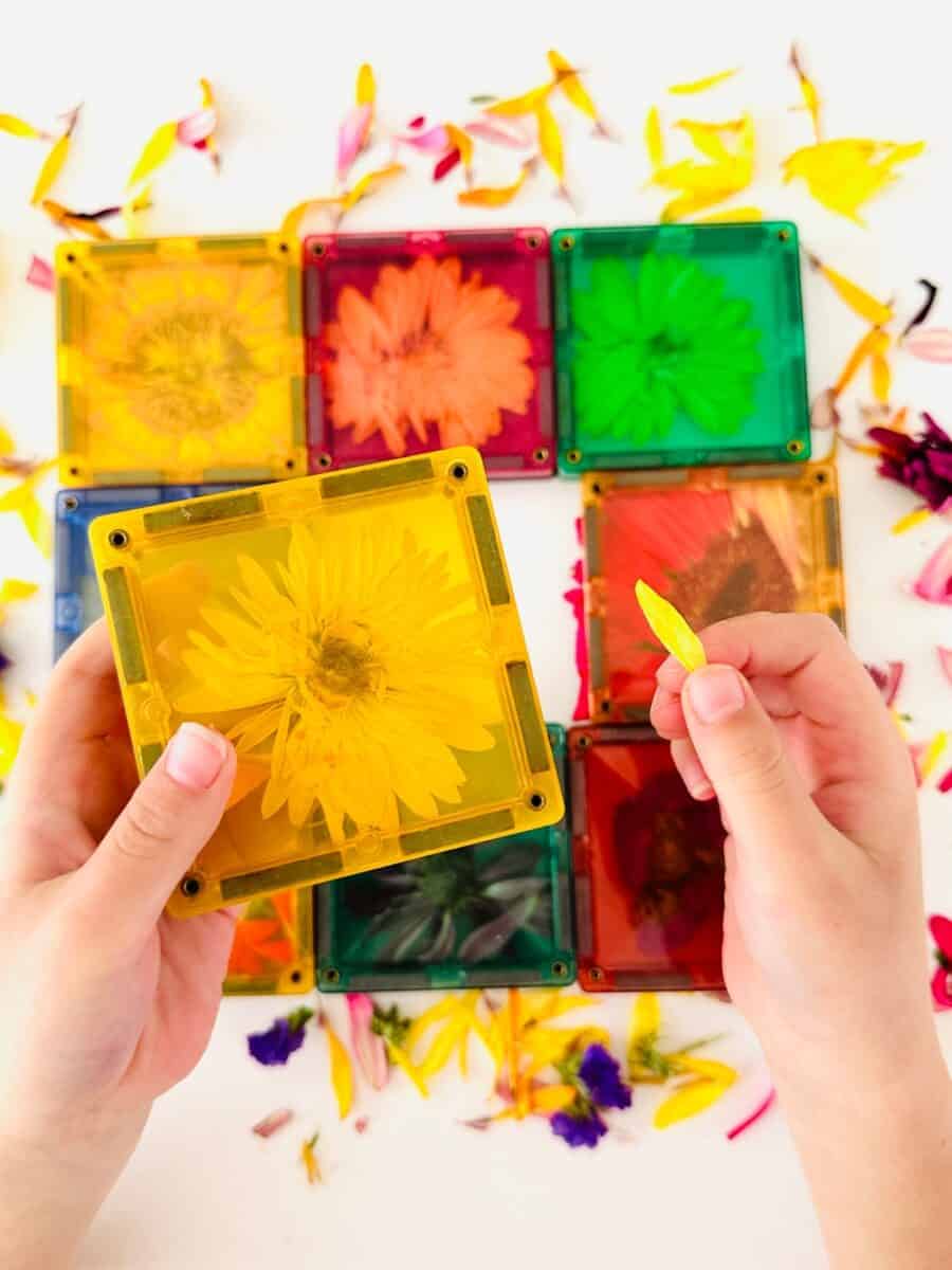 Magnetic Tiles Flower Play Activity