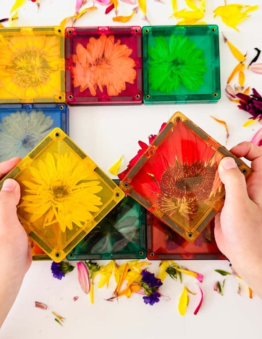 Magnetic Tiles Flower Play Activity