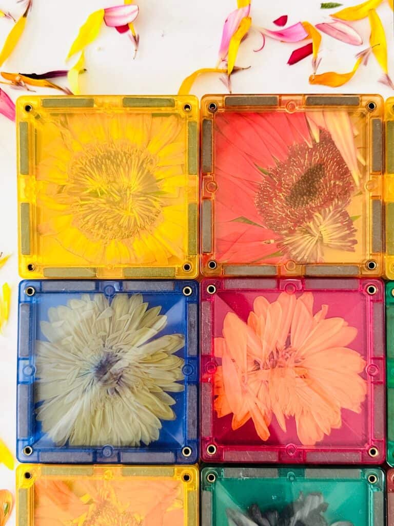 Magnetic Tiles Flower Play Activity