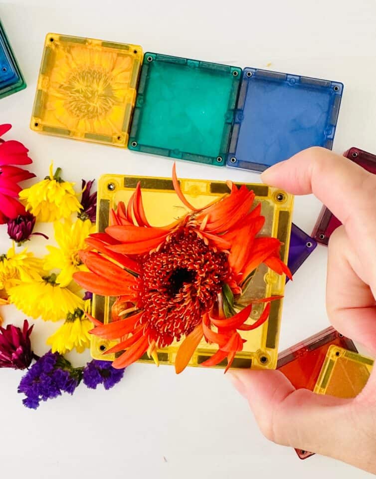 Magnetic Tiles Flower Play Activity