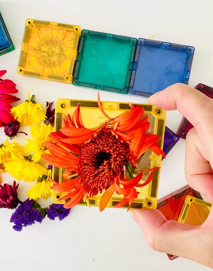 Magnetic Tiles Flower Play Activity