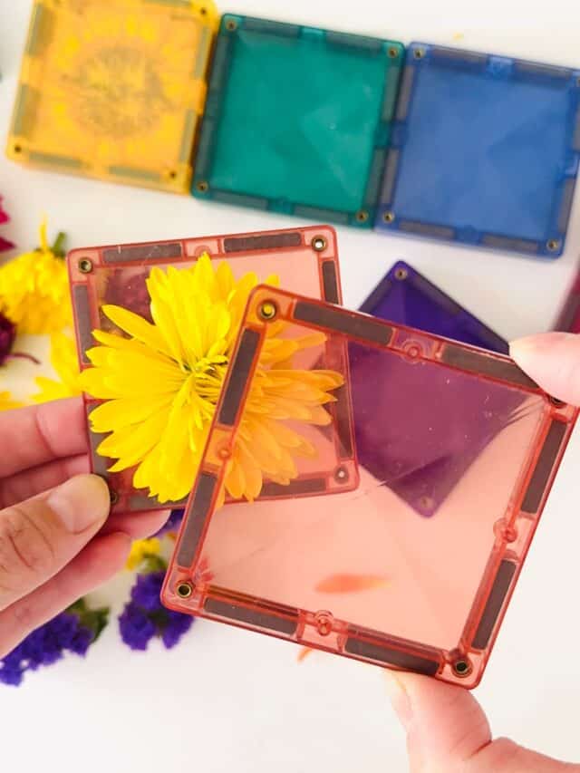 Magnetic Tiles Flower Play Activity